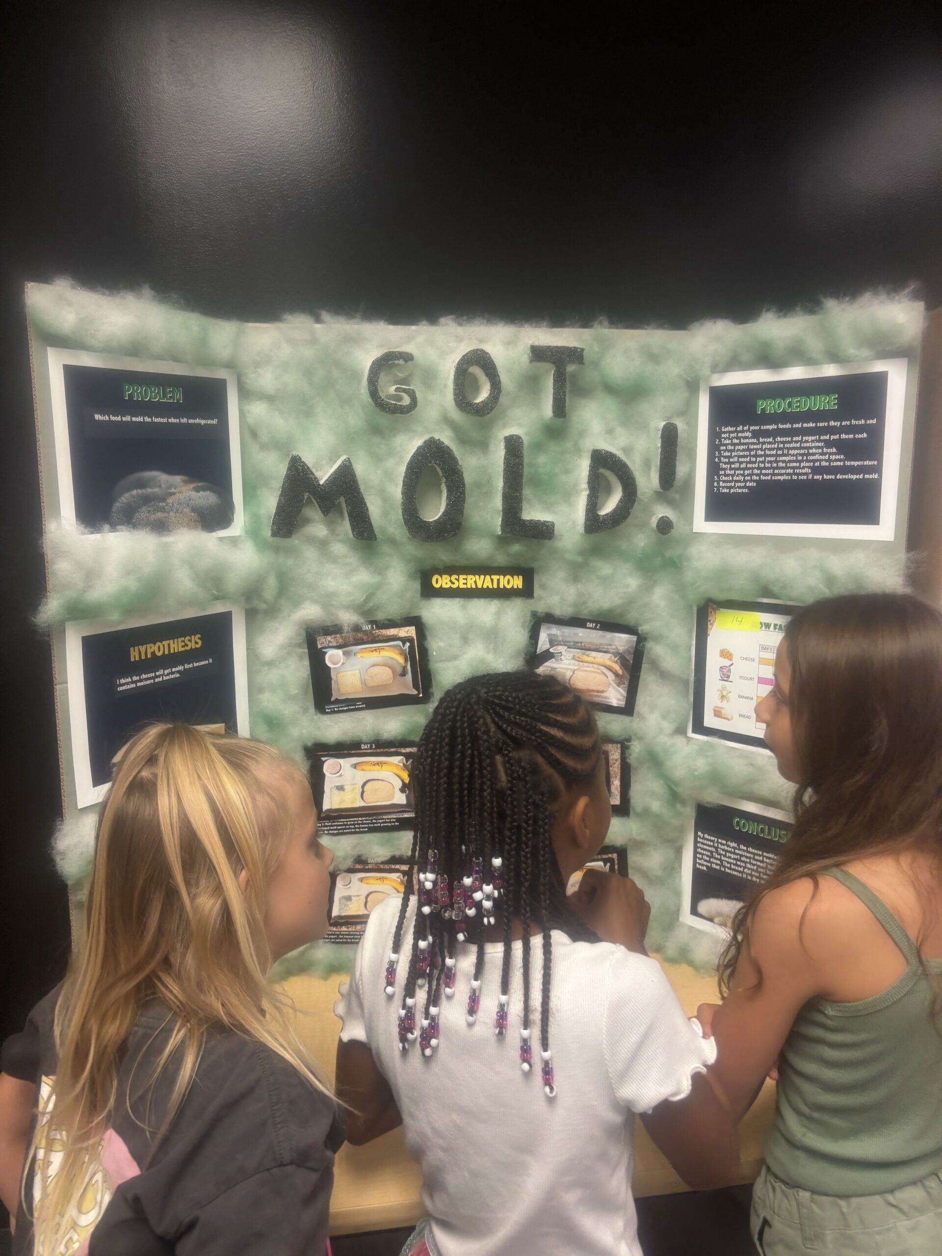 About Us - STEAM Academy
